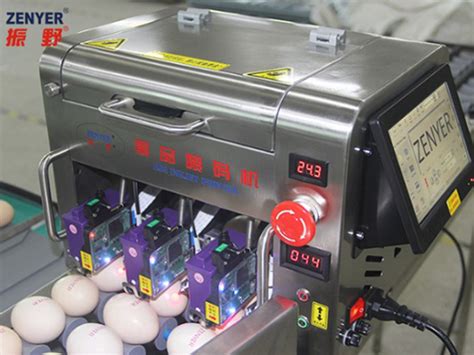 Egg Inkjet Printer Egg Printing