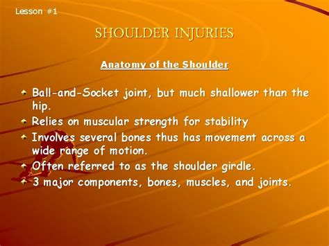 Lesson 1 Shoulder Injuries Anatomy Of The Shoulder