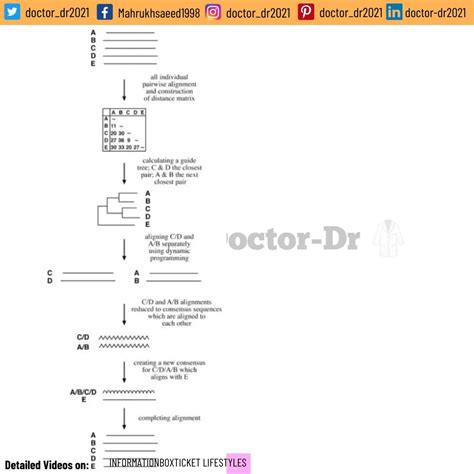 Sequence Alignment Definitions Classification Techniques Applications