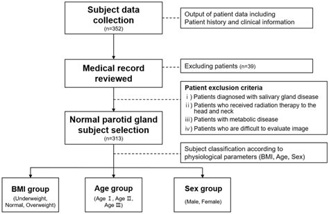 Patient Inclusion And Exclusion Chart Download Scientific Diagram
