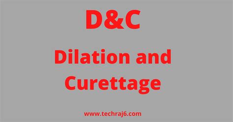 Dilation Logos Megan Pineda Blogs