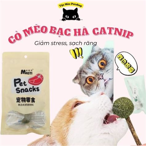 Catnip Stick Cat Grass Mint Grass Masti Helps Cats Reduce Stress And Clean Teeth Shopee Malaysia
