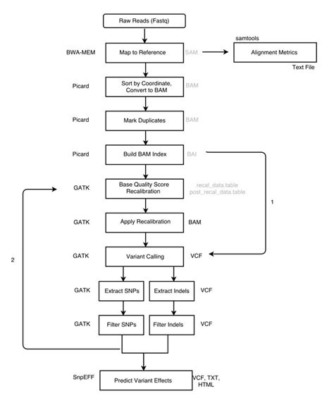 Workflow Bootstrapping Ngs Analysis