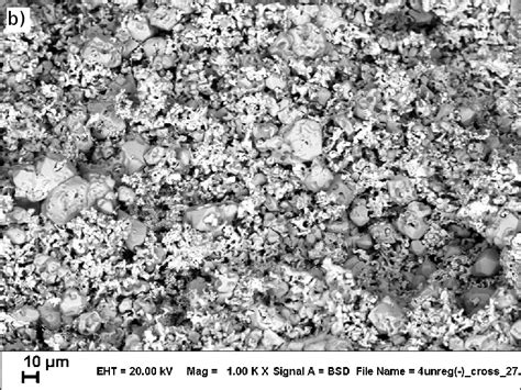 15 Cross Section Images Of The Charged Extra Electrode A 186X SE2 Download Scientific Diagram