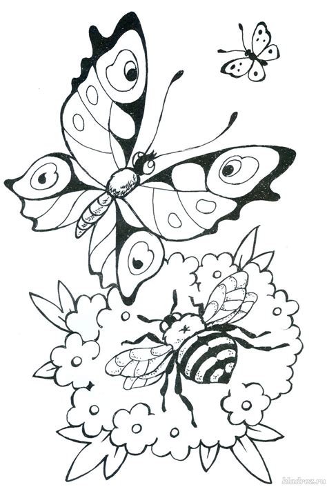 Раскраски на тему: Лето для детей 5-7 лет. Распечатать бесплатно