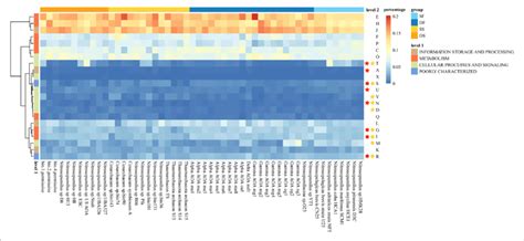 The Percentages Of Clusters Of Orthologous Group Cog Functional