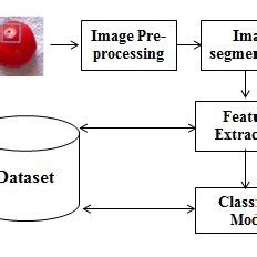 Defects Detection 5 Steps Model Download Scientific Diagram
