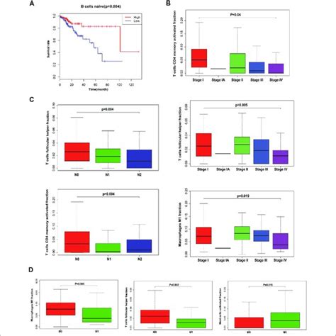 Relationship Between Tumor Infiltrating Immune Cells And Clinical