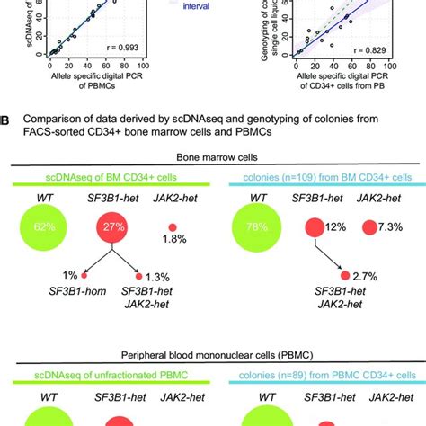 The Bismuth Corlette Classification Of Perihilar Tumors Type 1 Is