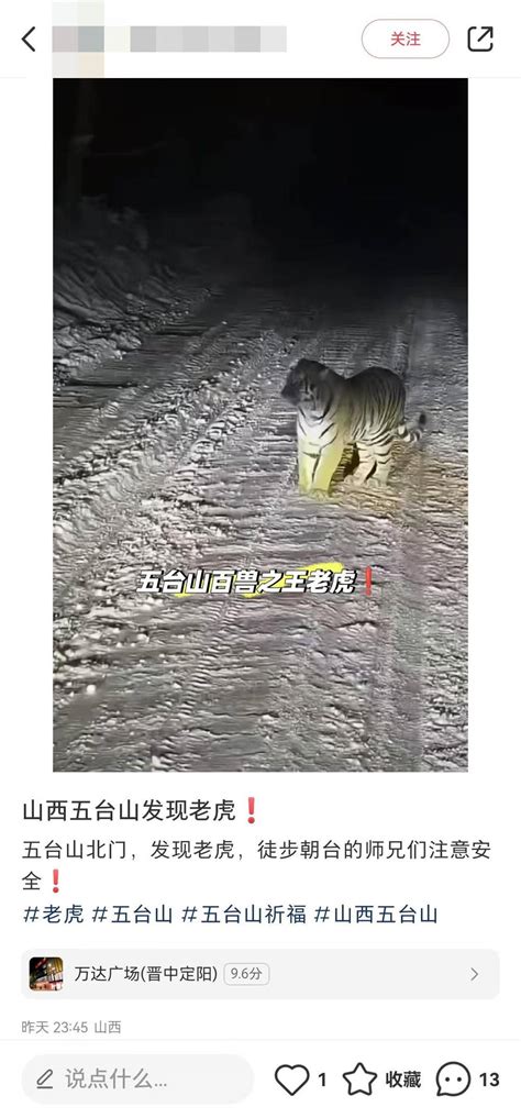 山西五台山景区北门有老虎？当地文旅局：景区没见过 工作 图片 来源