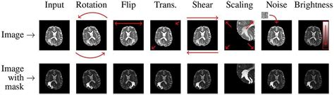 Osama Ammar Msc On Linkedin Computervision Machinelearning Deeplearning Ai Imageprocessing