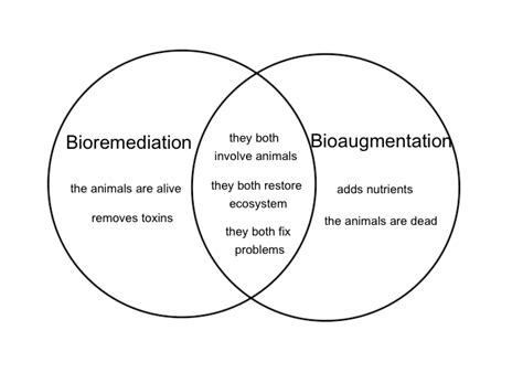Bioremediation Vs Bioaugmentation Sustainable Ecosystems Concept Map Links