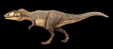 Did Carcharodontosaurus Hunt In Packs At Jennifer Dermody Blog