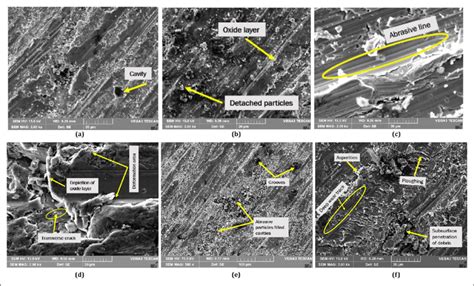 Morphological Analysis Of Metal Functionally Graded Material Mfgm On Download Scientific