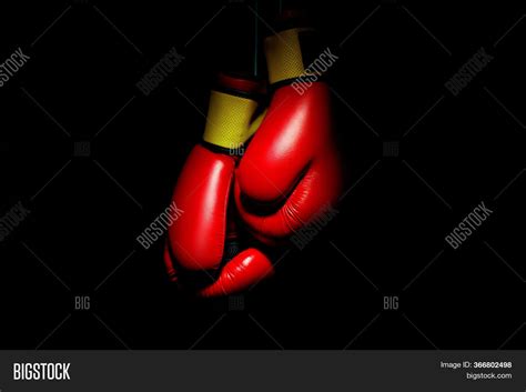 Boxers Red Gloves Image And Photo Free Trial Bigstock