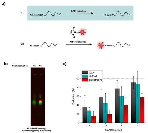 Non Coding Rna An Open Access Journal From Mdpi Non Coding Rna An Open Access Journal From Mdpi
