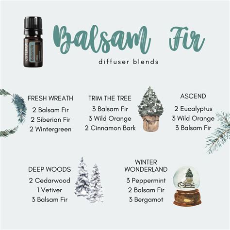 Balsam Fir Diffuser Blends Essential Oil Diffuser Blends Recipes Essential Oil Diffuser
