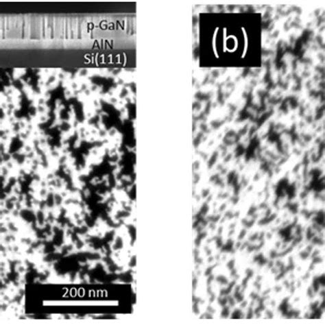 A Top View Scanning Electron Miscroscopy Sem Image Of Porous Gan On
