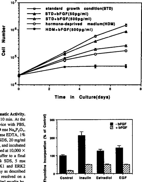 Figure 1 From Basic Fibroblast Growth Factor Confers Growth Inhibition