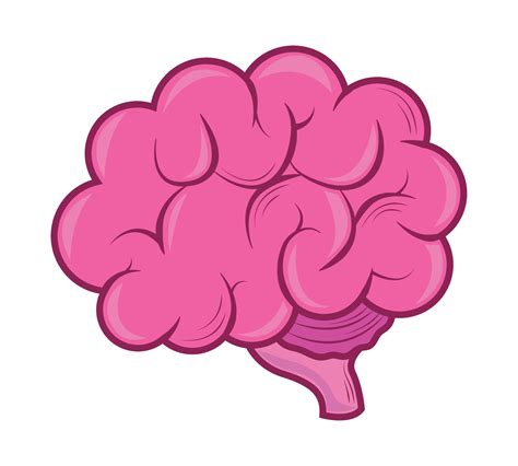 Human Brain Cartoon 10457558 Vector Art At Vecteezy