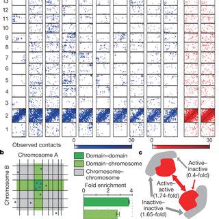 Single Cell And Ensemble Hi C A Single Cell Hi C Method B Download Scientific Diagram