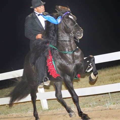 Travis Robinson Youtube