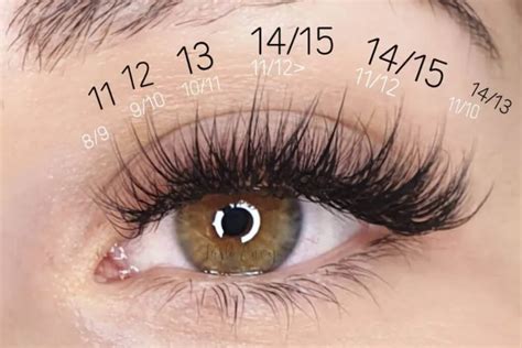 Understanding Lash Mapping A Comprehensive Guide To Perfect Volume Lash Extensions Discover