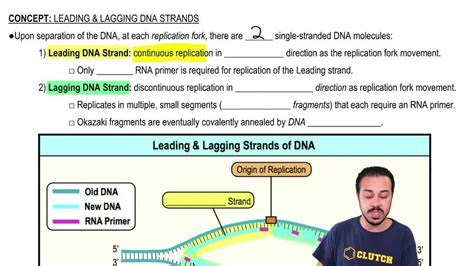 Prokaryotic Dna Replication Lagging Strand