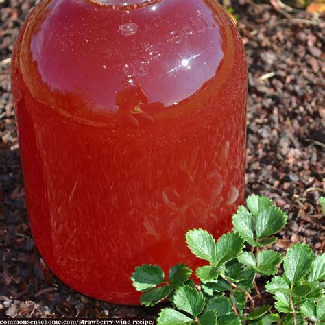 Easy Strawberry Wine Recipe Perfect For Beginners