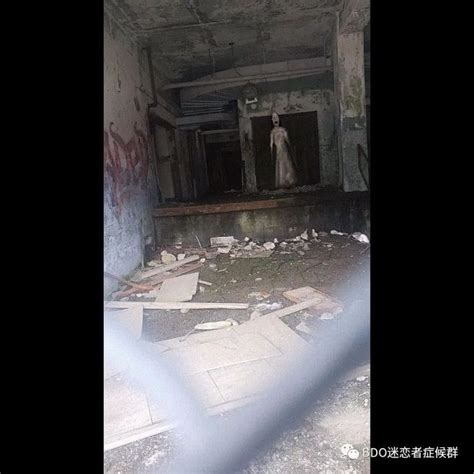 午夜慎点！特雷弗亨德森的恐怖奇异生物世界，不要在都市拐角停下来！