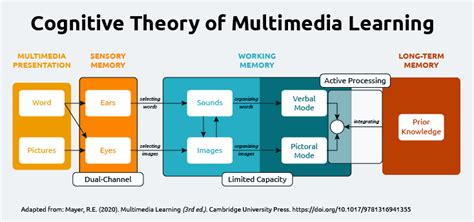 the positive impact of multimedia learning illumina interactive
