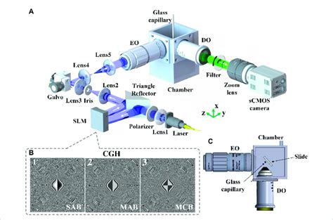A The Schematic Diagram Of The Lsfm System B Download