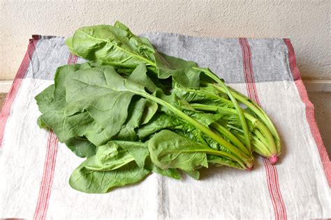 春もおいしい「ほうれん草」、選び方やおすすめの調理法も伝授します！【旬の野菜通信 4月】 Kufura（クフラ）小学館公式