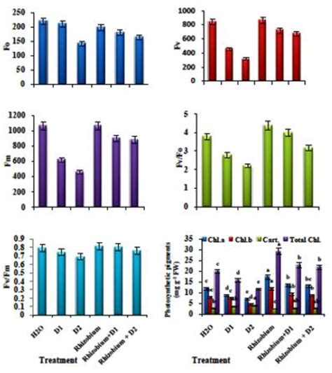 Effect Of Rhizobium Leguminosarum Inoculation And Water Stress On Download Scientific Diagram