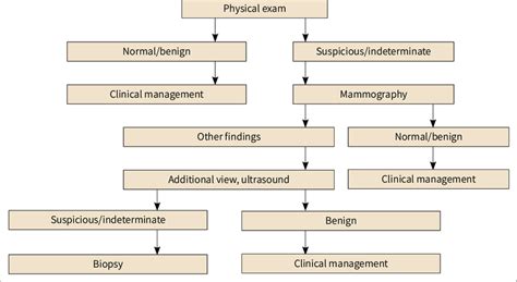 Algorithm Of Male Breast Evaluation Download Scientific Diagram