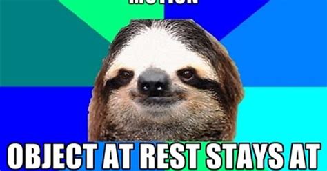Socially Lazy Sloth Imgur