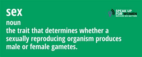 Speak Up For Women ACTION