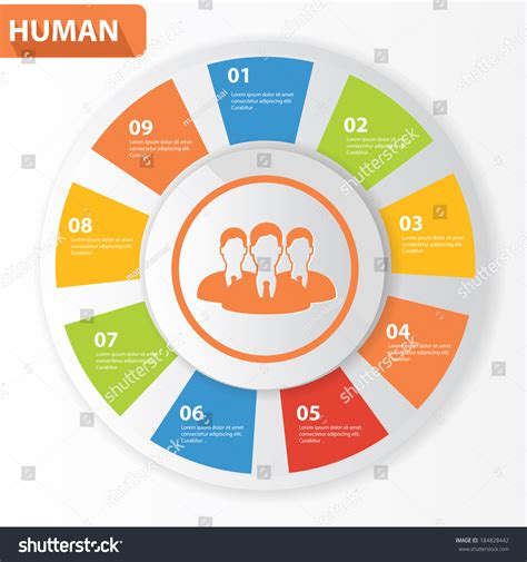 Teamwork Chart Vector 184828442 Shutterstock