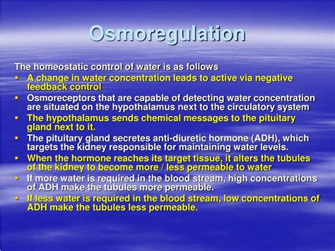 Ppt Homeostasis And Negative Feedback Control Powerpoint Presentation Id 364665