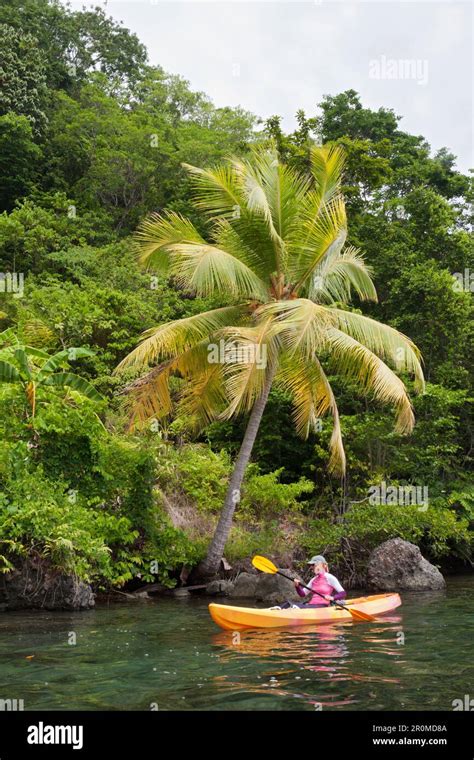 Kayaking In Fjords At Tufi Tufi Cape Nelson Papua New Guinea Stock