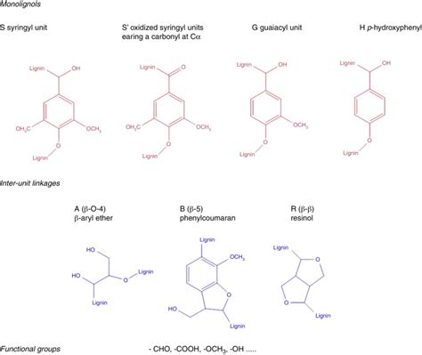 Main Chemical Structures In Lignin Download Scientific Diagram