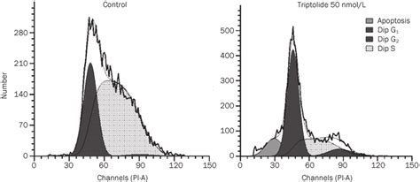 Effects Of Triptolide On Cell Cycle Distribution In Rpmi8226 Cells