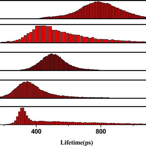 Lifetime Distribution Histograms Of The Aggregates Formed At A 20 Mm
