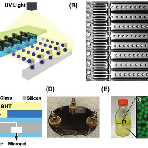 Overview Of The Parallelized Chip For High Throughput On Chip Download Scientific Diagram