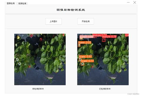 基于yolov5的草莓成长期检测系统，可进行图像目标检测，也可进行视屏和摄像检测（pytorch框架）【python源码ui界面功能源码详解】yolo部署草莓派 Csdn博客