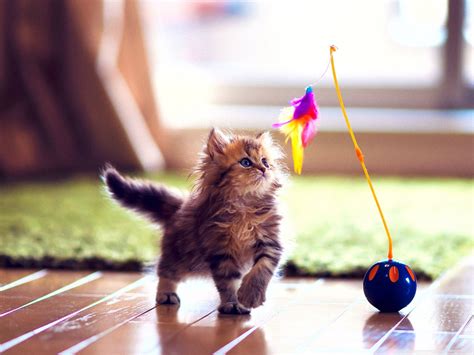 Tổng Hợp 999 Cute Background For Windows 10 đẹp Mắt Tải Miễn Phí