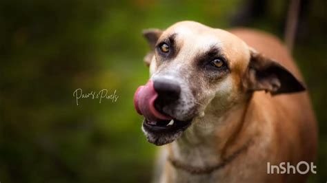 Semmy His Story Youtube