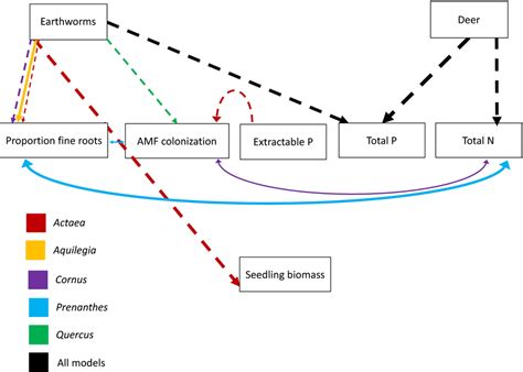 Piecewise Structural Equation Models Of Direct Earthworms And Deer Download Scientific