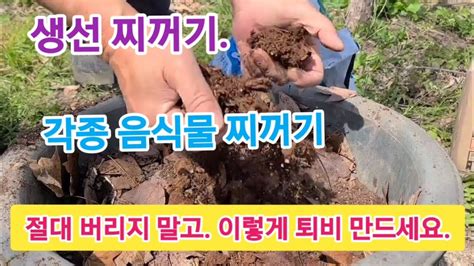 음식 물 쓰레기 버리지 말고 이렇게 퇴비만들어 화단 텃밭에 다 뿌려주면 죽어가는흙도 되살리고식물들이 병들지 않고 미친드시 쑥쑥 잘 자라요 Youtube