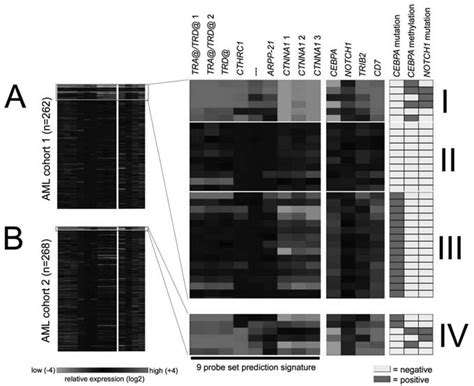 A Gene Expression Prediction Signature Identifies New Leukemias With Download Scientific